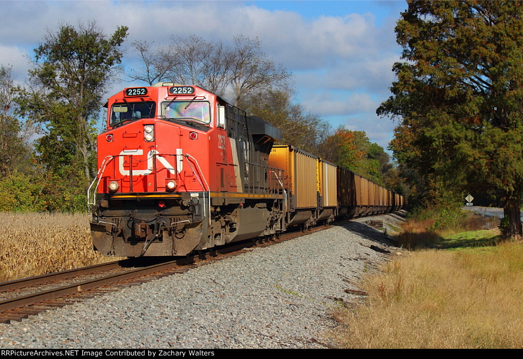 CN 2252